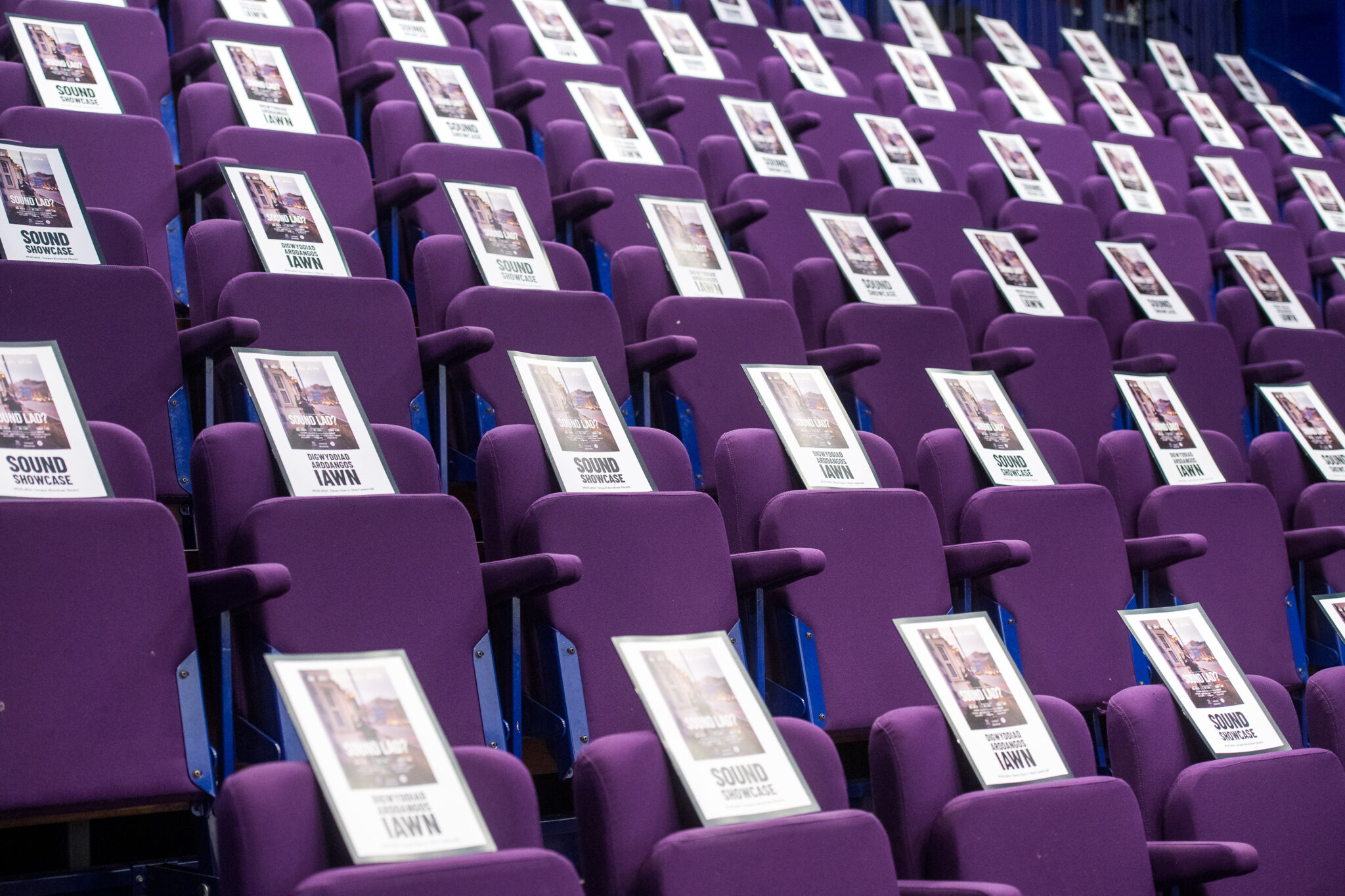 Cowshed premieres powerful Sound documentary – Cowshed